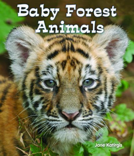 Baby Forest Animals by Jane Katirgis (2010, Library Binding) for sale ...