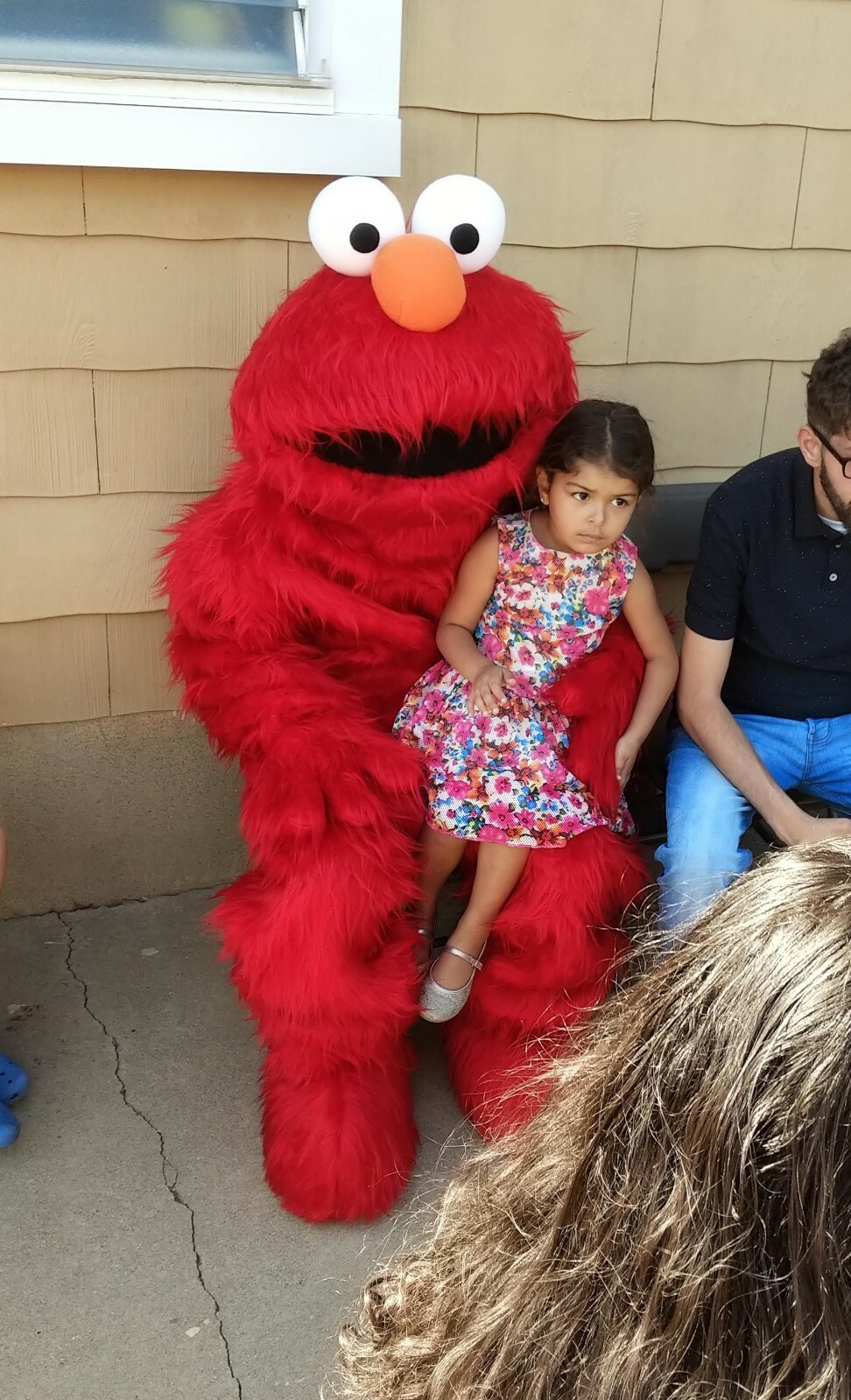 ELMO Mascot Elmo Costume Character MASCOT Professionally Quality Made ...