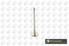 BG Automotive V095110 Exhaust Valve for sale online | eBay
