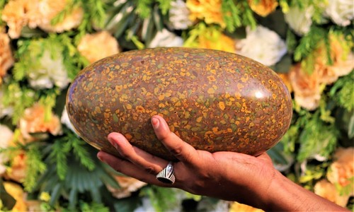 Huge 250MM Natural Fossil Coral Jasper Healing Power Spirit ...