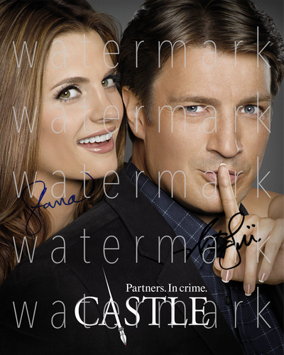 Castle Nathan Fillion Stana Katic signed 8x10 photo poster autograph RP ...