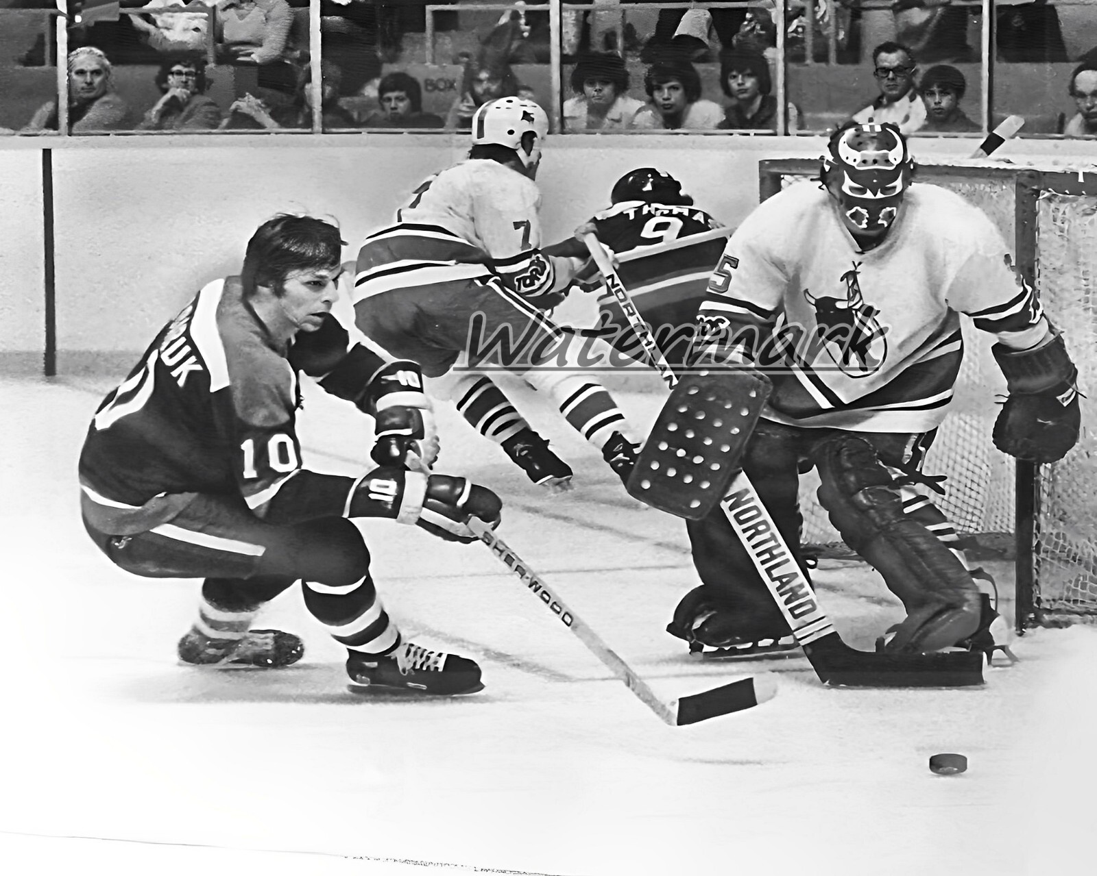 WHA 1975 Toronto Toros Goalie John Garrett Game Action 8 X 10 Photo ...