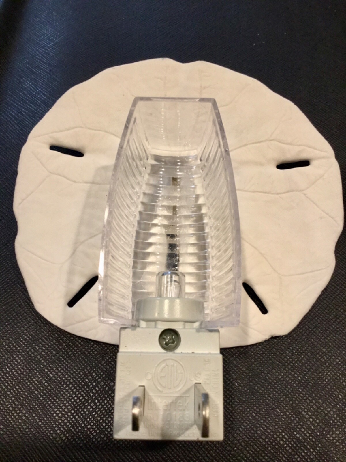 Shell Night Light Led Sand Dollar Nautical Decor Beach Theme | eBay