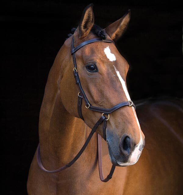 Horseware Trense RAMBO MICKLEM MULTI - schwarz, Large