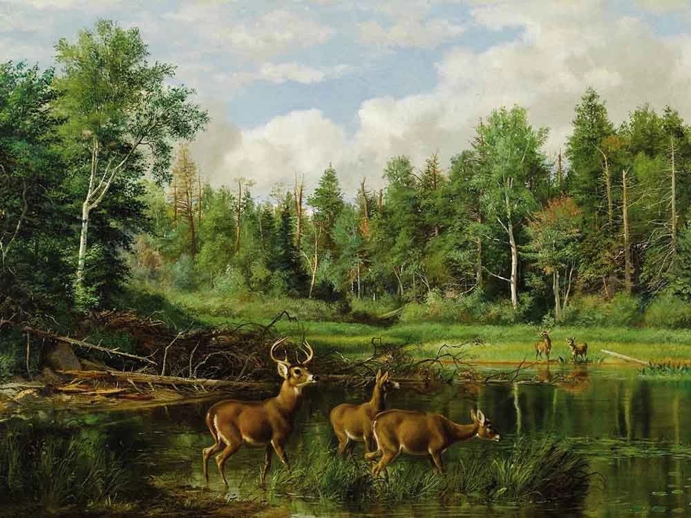 Bow Hunting Paintings