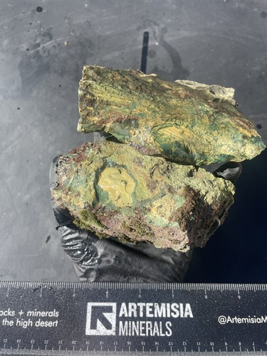 Scarce 2lb+ Bat Cave Rim Picture Jasper Oregon Lapidary Material Rough ...