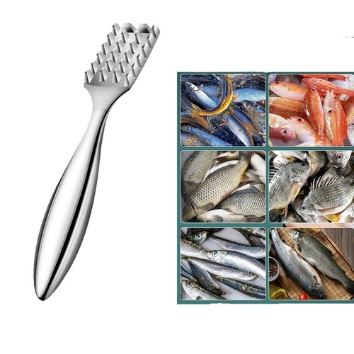1 Pcs Silver Fish Scaler Heavy Duty Fish Cutter Seafood Tools Seafood ...