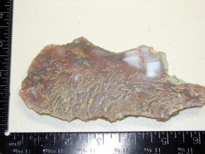 Gorgeous Bull Canyon Moss / Tube Agate Slab - 104g - Rare Old Stock ...