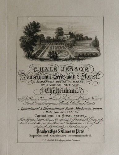 1826 ANTIQUE CHELTENHAM PRINT TRADE ADVERT C. HALE JESSOP NURSERMAN ...