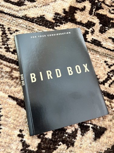Bird Box DVD Netflix FYC 2018 Screener Promo Sandra Bullock CLEAN DISC ...