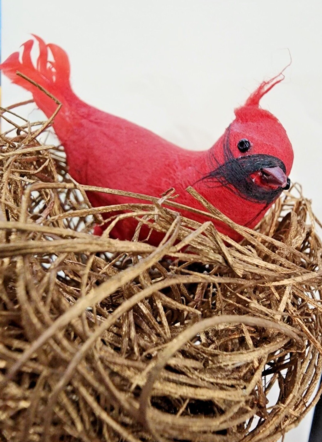Cardinal Bird Nest