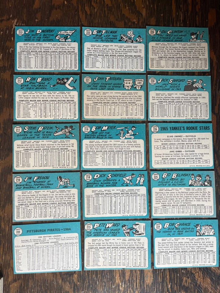 1965 TOPPS BASEBALL (15) CARD LOT EXCELLENT 209 - 229 PIRATES TEAM CARD ...