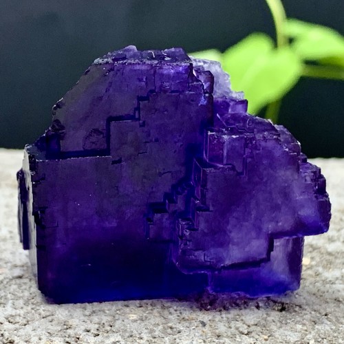 67GNatural purple fluorite Matrix array stepped fluoritemineral ...