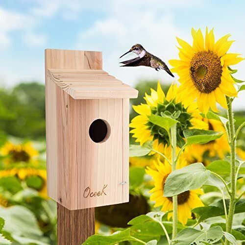 OceeK Cedar Blue Bird Box House Wood Bird Box House Audubon Cedar Wren ...