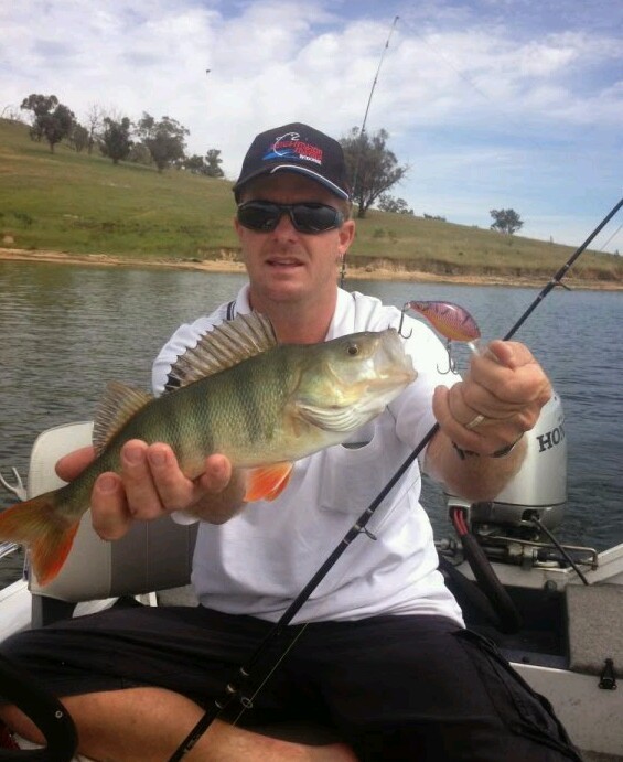 3 X Deep Diving lure Cod Yellowbelly Redfin bass VMC Hooks MUZZA'S ...