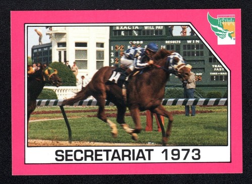 Secretariat 1973 Kentucky Derby Winner 1990 Horse Star Cards Festival ...
