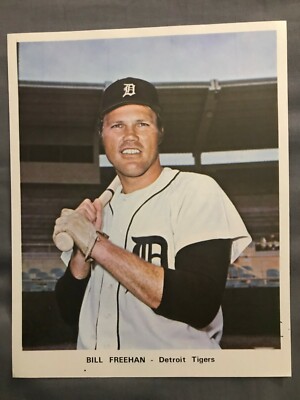 7 x 9 Team Issue Picture Pack Photo Bill Freehan Detroit Tigers NrMt | eBay