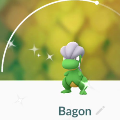 pokemon go Shiny Bagon registered | eBay