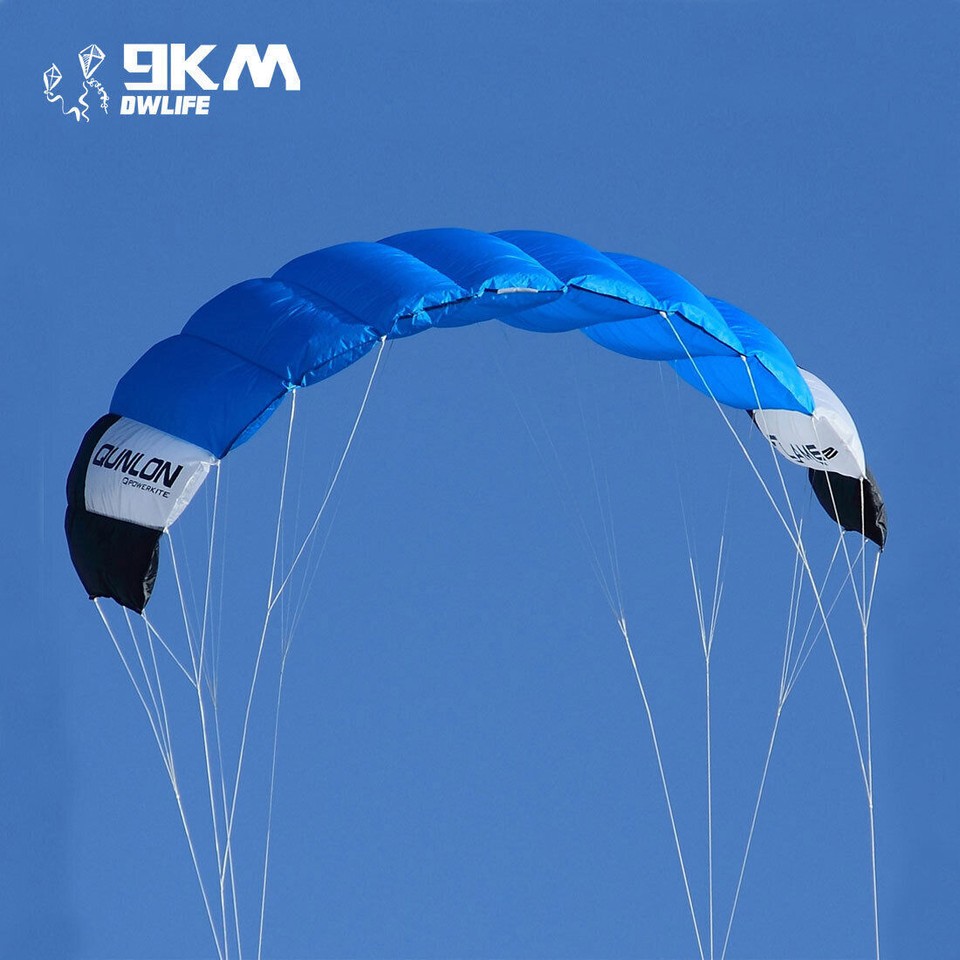2sqm 4-Line Power Kite Professional Traction Kite With Lines and ...
