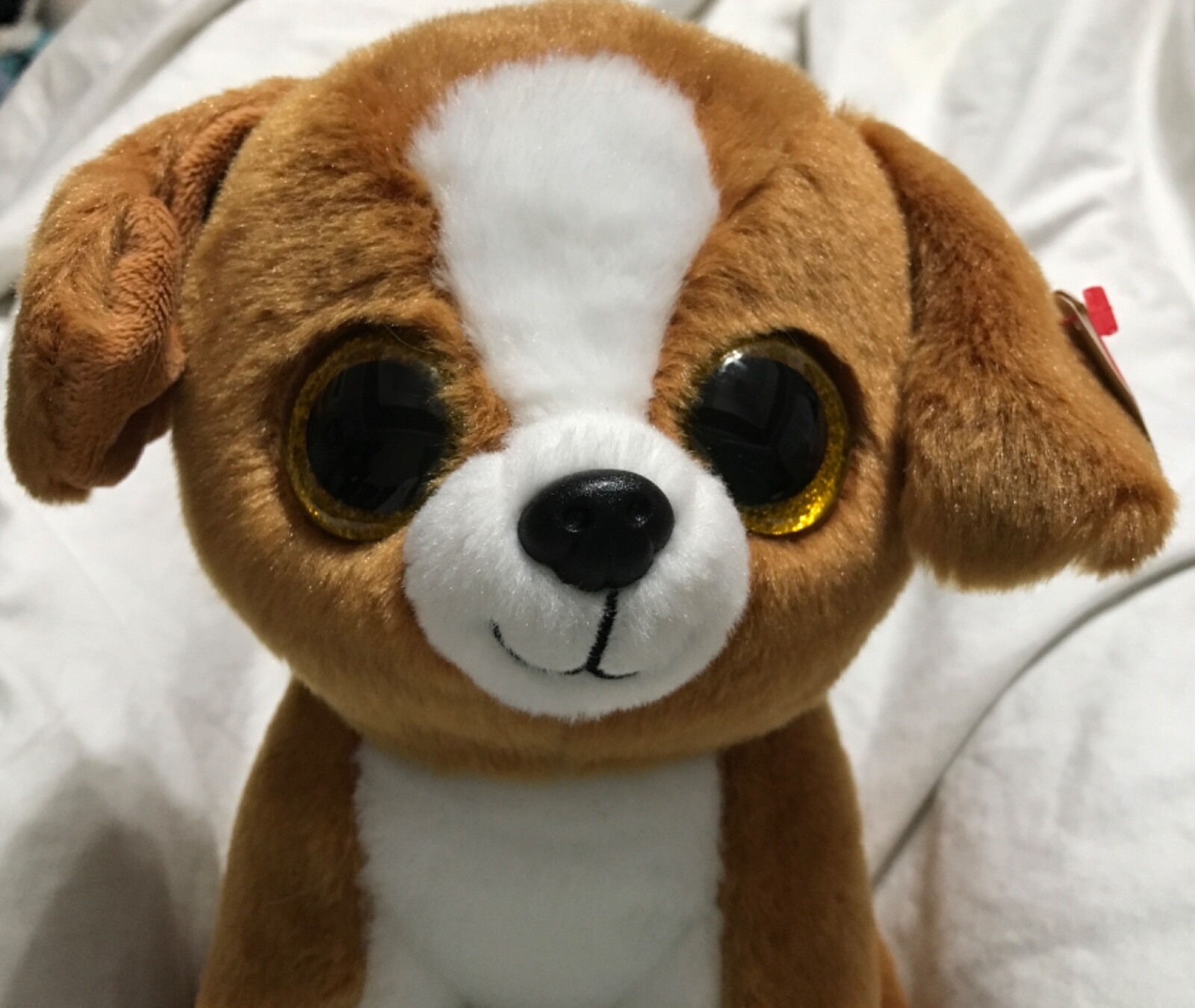 Ty Beanie Classic Buddy Snicky Beagle Dog Plush 2016 Medium 9in for ...