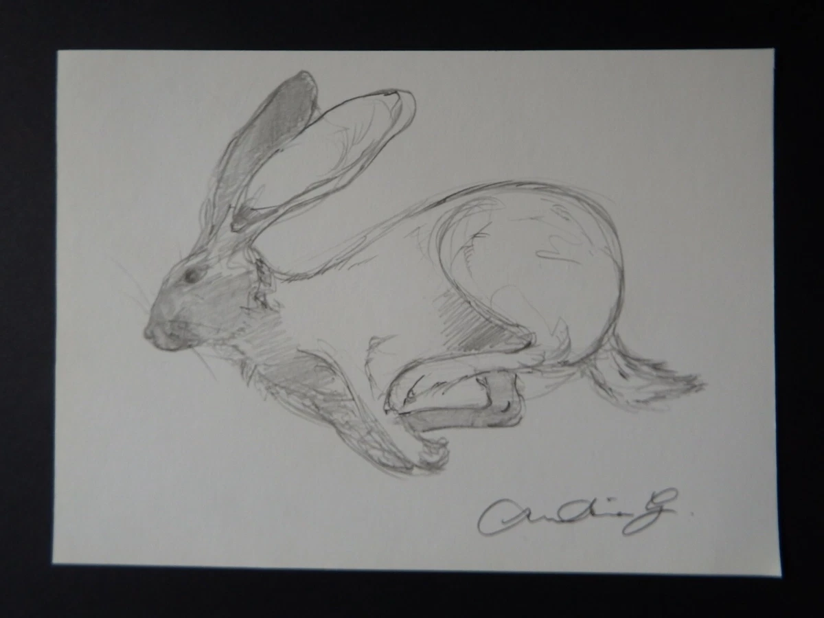 Jumping Hare Drawing