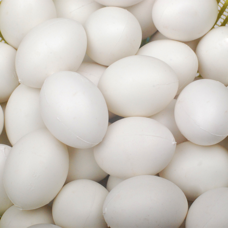 10pcs Solid Plastic Eggs Dummy Eggs For pigeons white | eBay