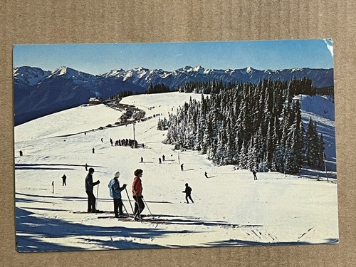 Postcard Olympic National Park Washington WA Hurricane Ridge Ski Area ...