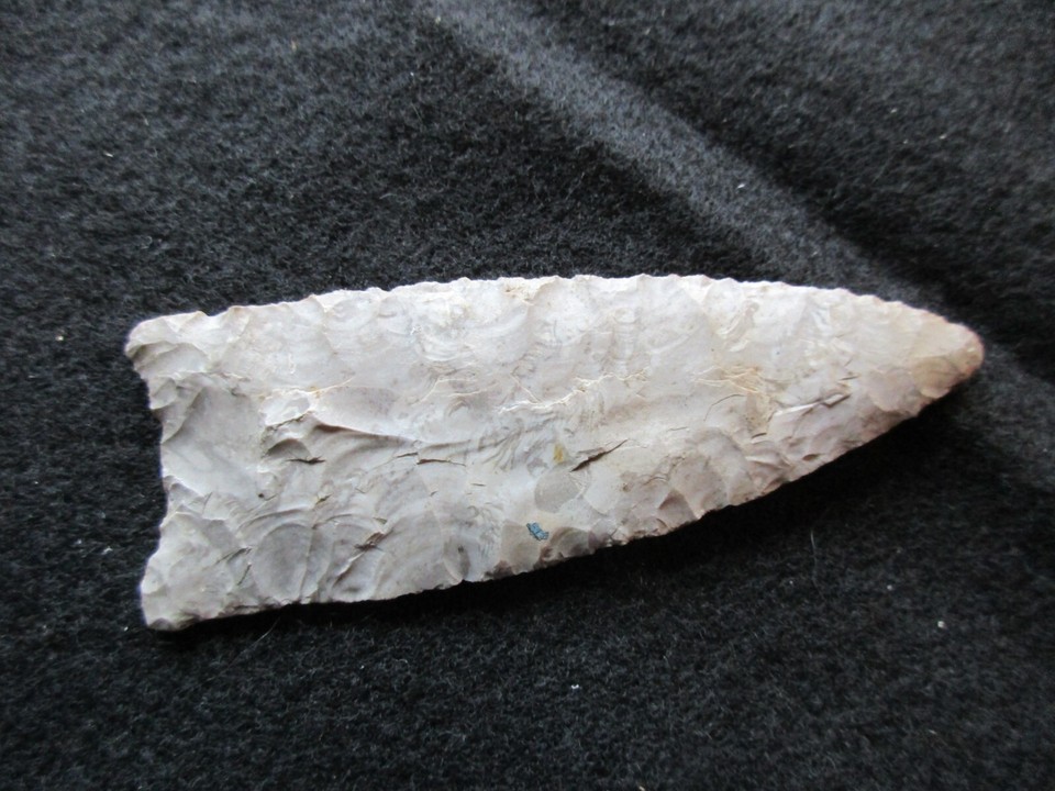 NATIVE AMERICAN "DALTON" COA ARROWHEAD, COLLECTOR'S CHOICE POINT, DU ...