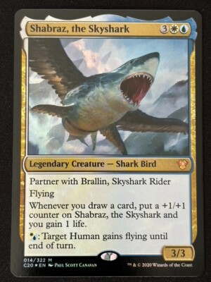 1x MTG Shabraz, the Skyshark (Foil) - Commander 2020 (C20) #14 - Magic ...