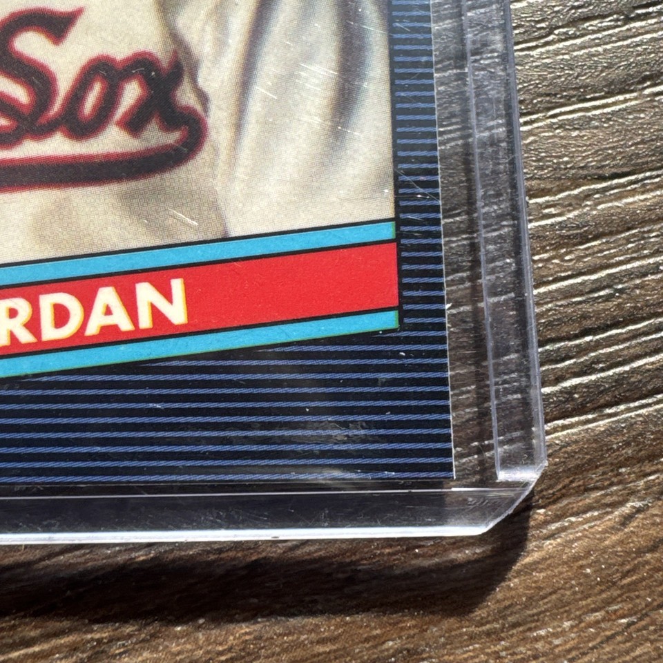 1990 Promo MICHAEL JORDAN Rated Rookie Donruss Fun City Baseball White ...