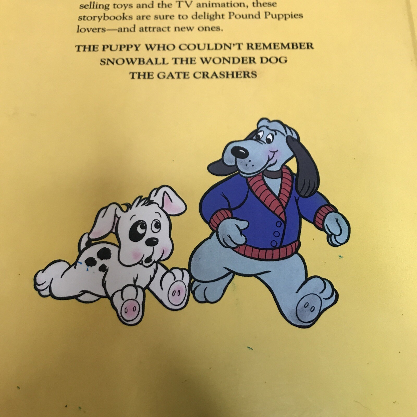 Vintage 1986 Pound Puppies Golden Book the Puppy who Couldnt Remember ...