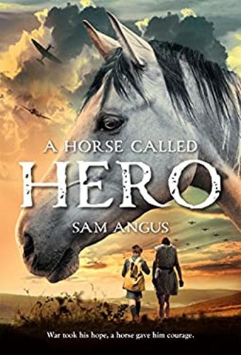 A Horse Called Hero Paperback Sam Angus 9781250062833| eBay