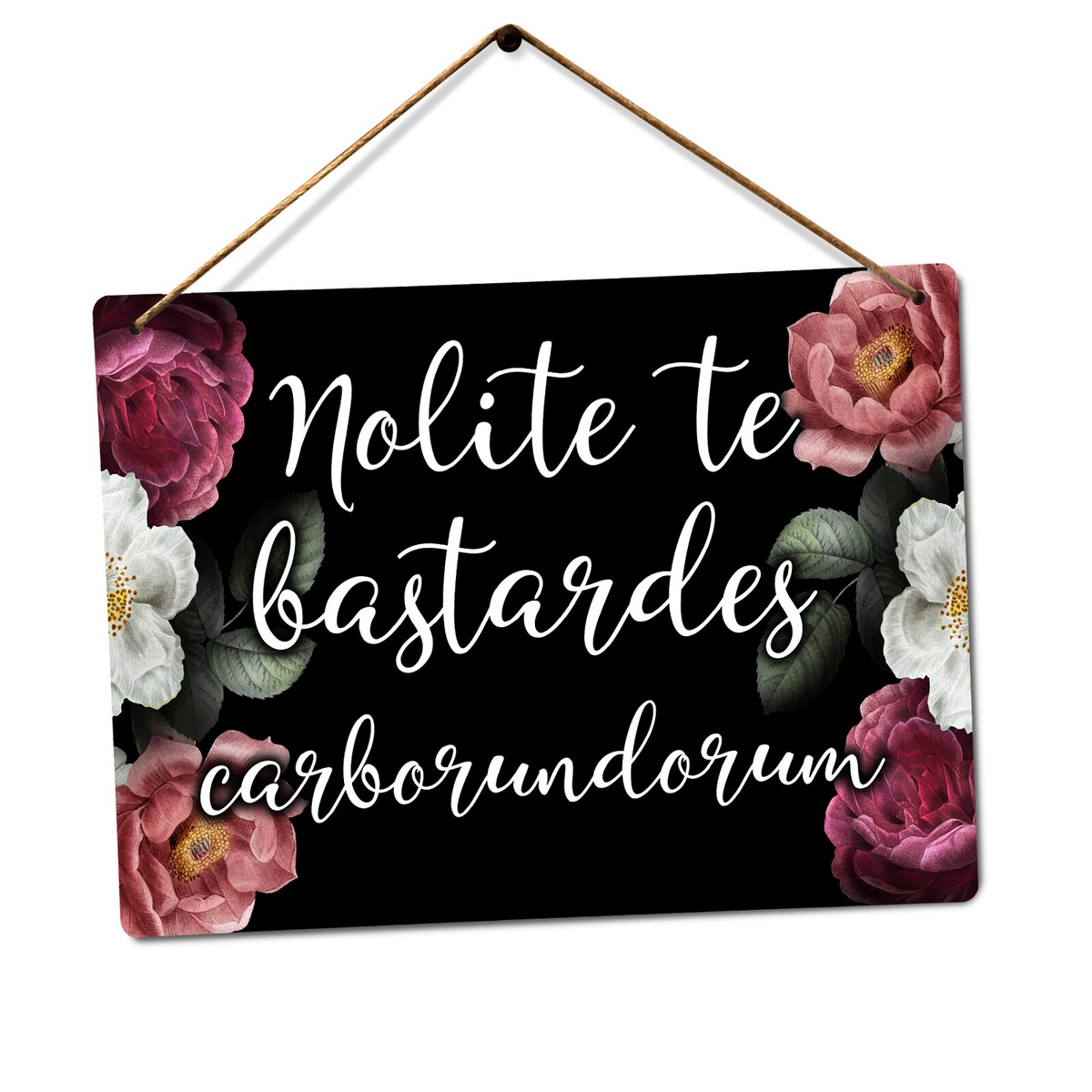 Latin Warning Quotes Latin Wood Sign Hannibal Barca I Shall Either