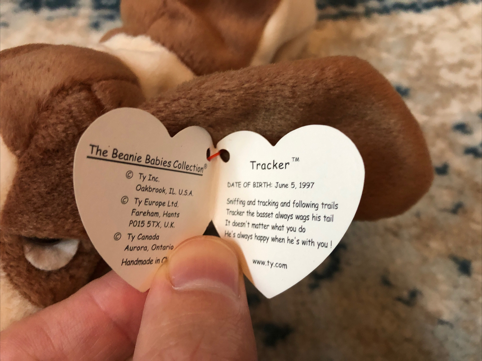 1997 Tracker Ty Beanie Baby | eBay