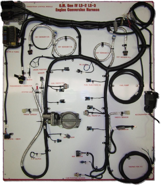 BRAND NEW LS2 6.0 LITRE ENGINE LOOM CONVERSION MANUAL T56, T350, T400 ...