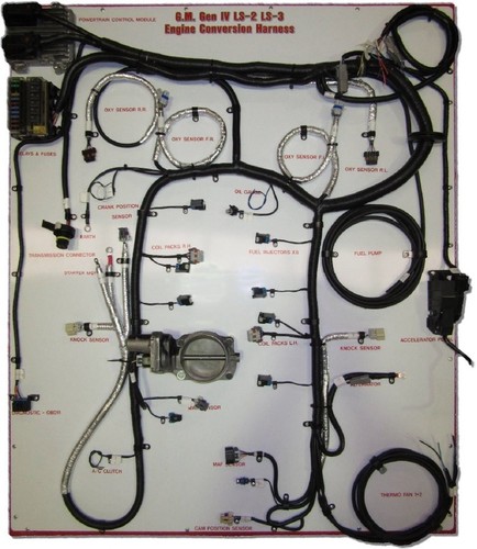 BRAND NEW LS2 6.0 LITRE ENGINE LOOM CONVERSION MANUAL T56, T350, T400 ...