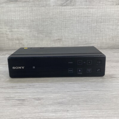 Sony SRS-X55 Portable Speaker System - Black | eBay