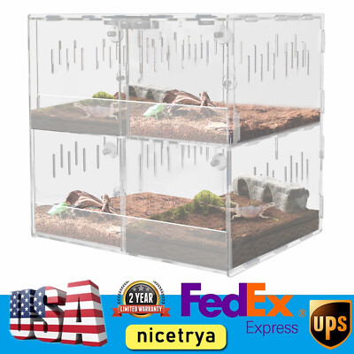 Reptile Cage Enclosure Box Scorpion Tarantula Insect Clear Display Case ...