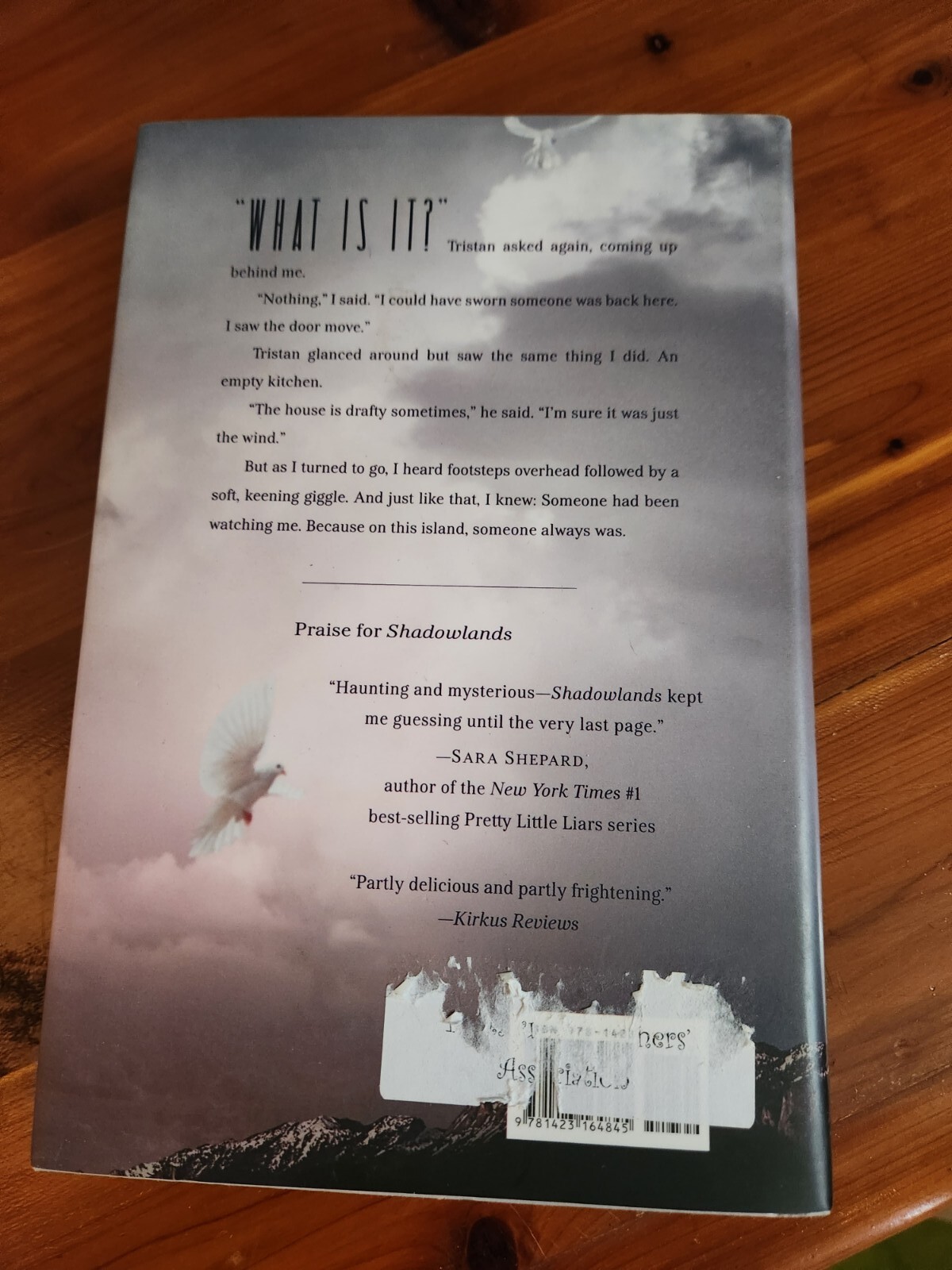 Shadowlands Ser.: Hereafter by Kate Brian (2013, Hardcover) for sale ...