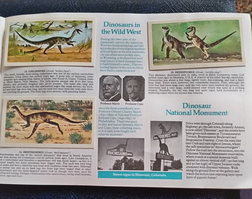 Prehistoric Animals Brook Bond Tea Cards Full Set With Album. | eBay UK