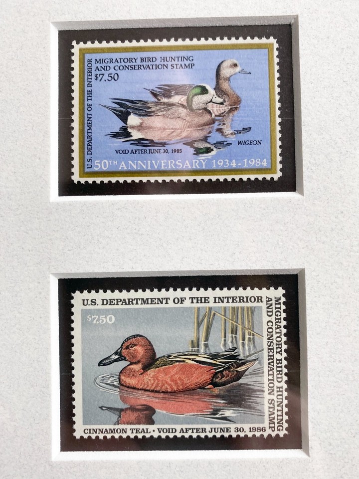 🔥 40 Federal Duck Stamps 1960-1999 Custom Framed by Decade w/ Brass ID ...