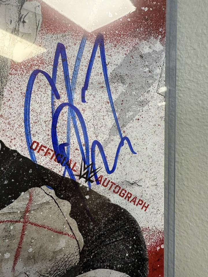 CM Punk Signed Official WWE Monday Night Raw (11x14) Autographed (2024 ...