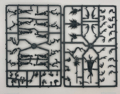 Slaanesh: Daemonettes (10) - On Sprue - Age of Sigmar | eBay