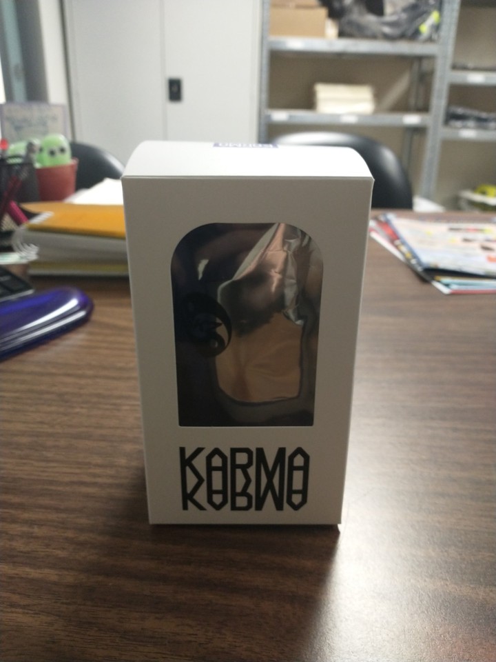 Stray Kids Skzoo "LEEBIT" Karma album New Open Box. | eBay