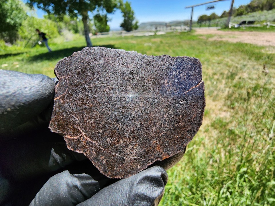 Plutonic Angrite Meteorite *18.229 g* Rafsa 004 Ultra Rare Achondrite ...