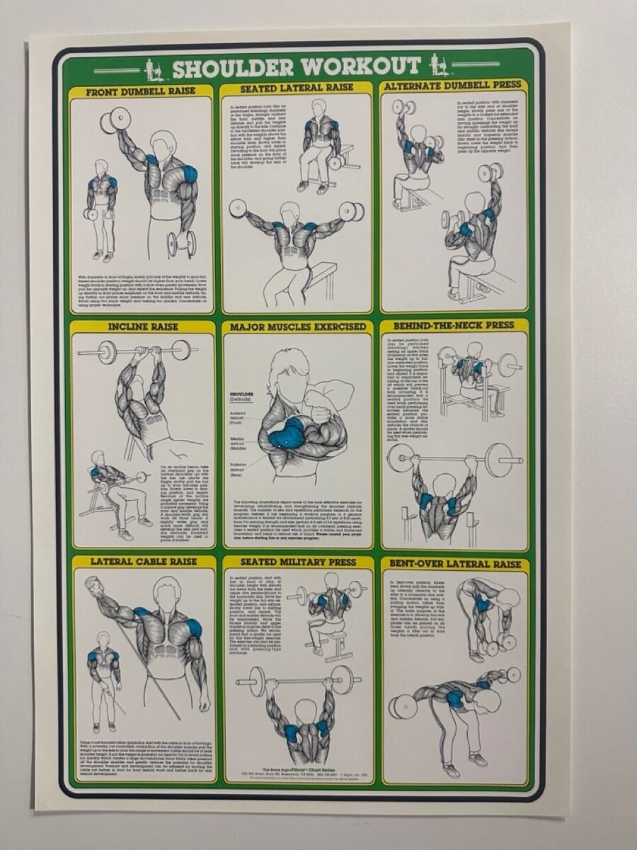 Shoulder Exercises Chart Shoulder Exercises Chart