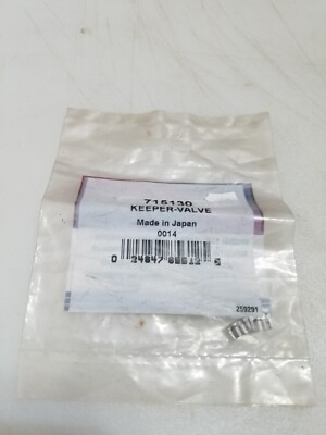 Briggs & Stratton Valve Keeper 715130 - OEM Packaging - NEW - B3C | eBay