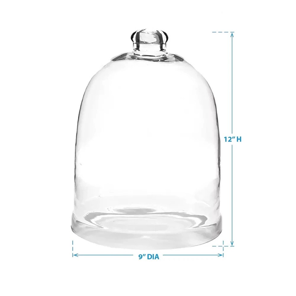 Bell Glass Cloche 9 x 12 | eBay