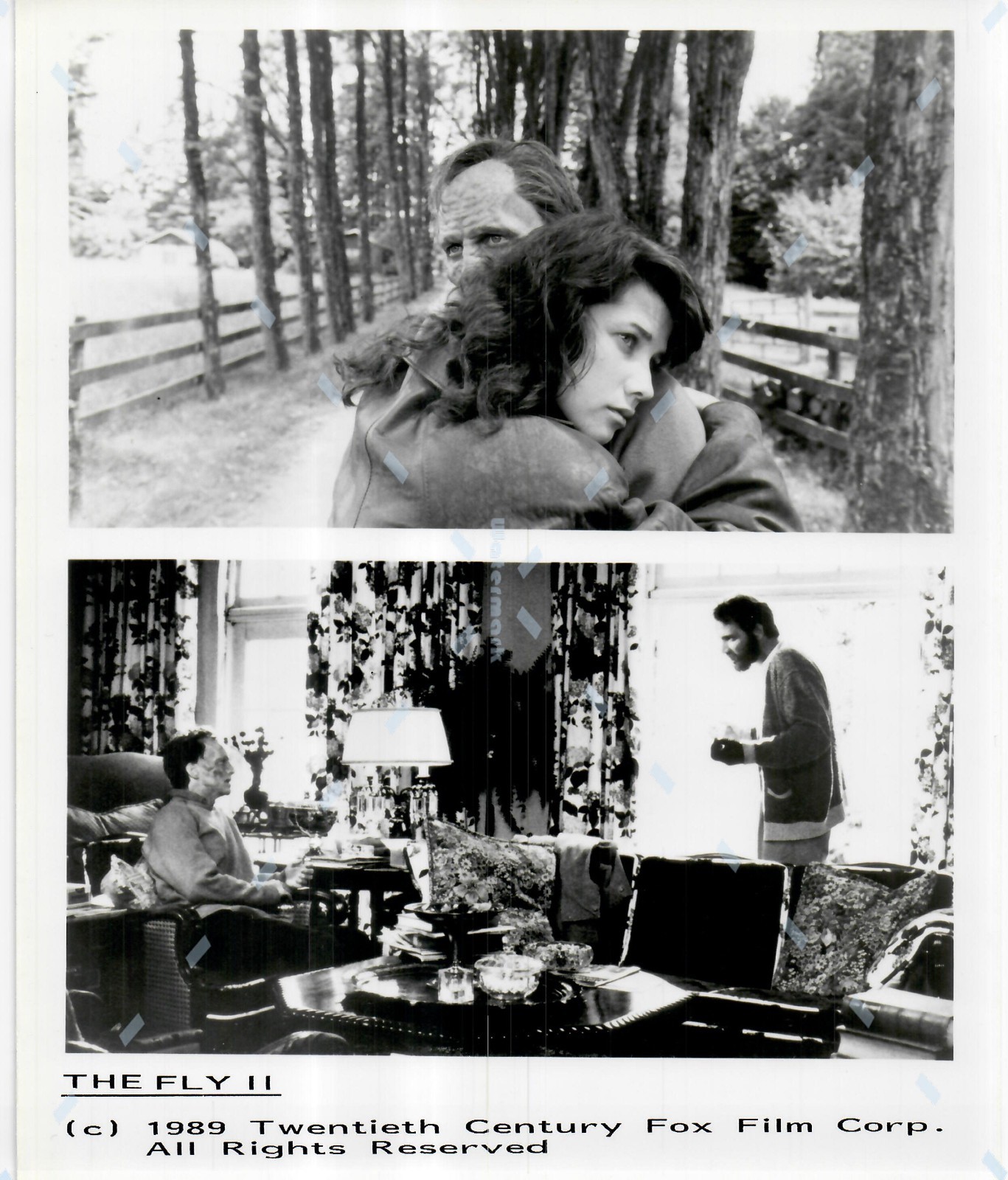 Rare Press Publicity Photo Still 8x10 ~The Fly II 1989~Daphne Zuniga ...