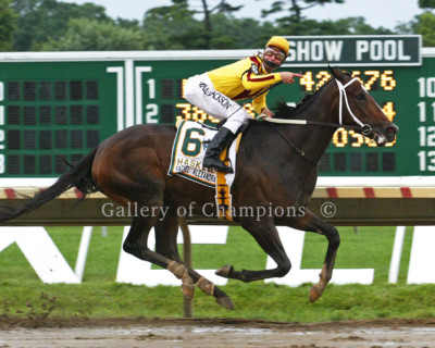 Rachel Alexandra 2009 Haskell Invitational 2 Photo 8" x 10 - 24" x 30 ...